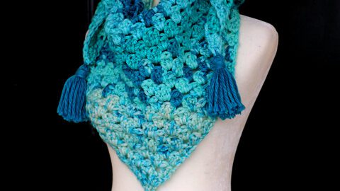 Caron Cake Shop Yarn | 50+ Crochet Patterns | Marly Bird