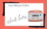 All the Flavors of Caron Cakes Yarn | Marly Bird