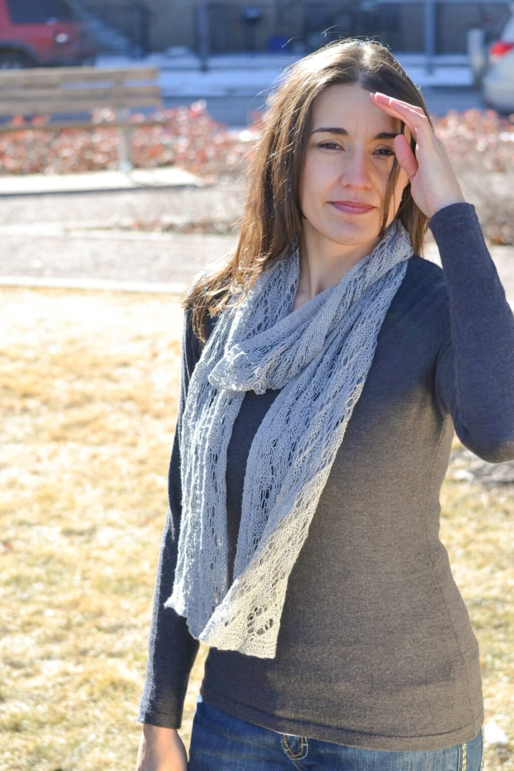 Shangri-La Scarf or Shawl: Free Knit Lace Pattern